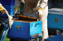 Where to Enter C4 TV Code: A Comprehensive Guide